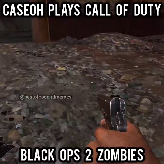 CASEOH PLAYS CALL OF DUTY @bestofcodandmemes BLACK OPS 2 ZOMBIES - iFunny