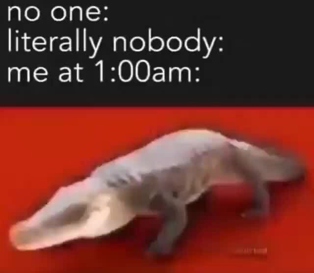 No one: literally nobody: - iFunny