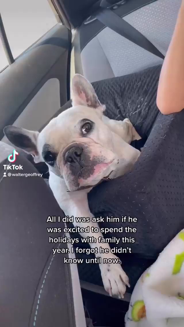 Tiktok Alli Did Was Ask Him If He Was Excitec To Spend The Holidays