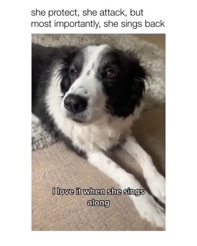 She protect, she attack, but most importantly, she sings back (love it ...
