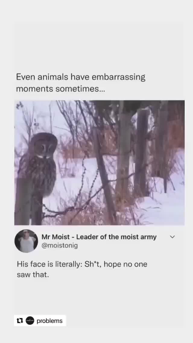 Even animals have embarrassing moments sometimes... Mr Moist - Leader ...