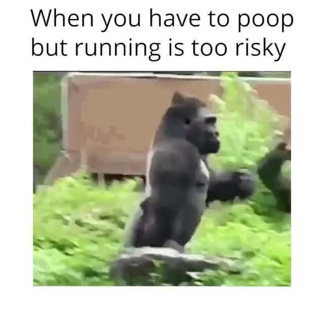When you have to poop but running is too risky - iFunny