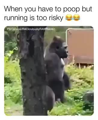 When you have to poop but running is too risky ;;;; - iFunny