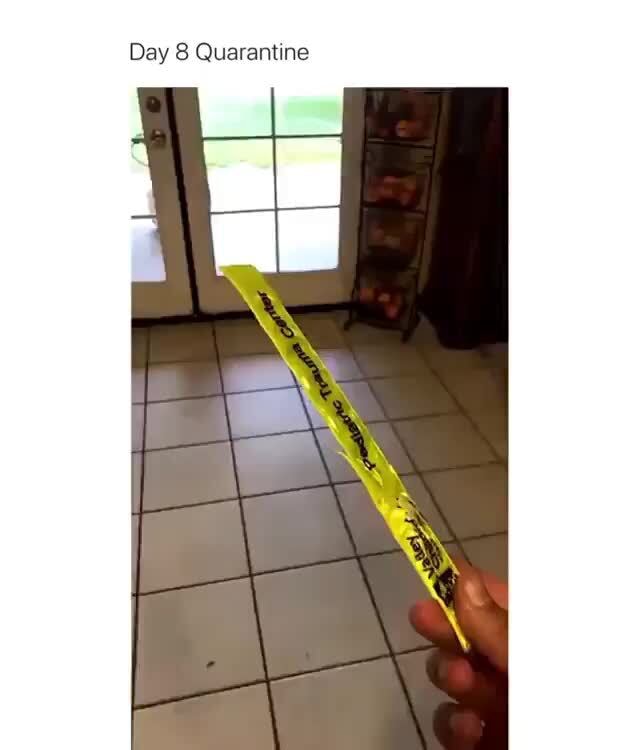 Day 8 Quarantine - iFunny