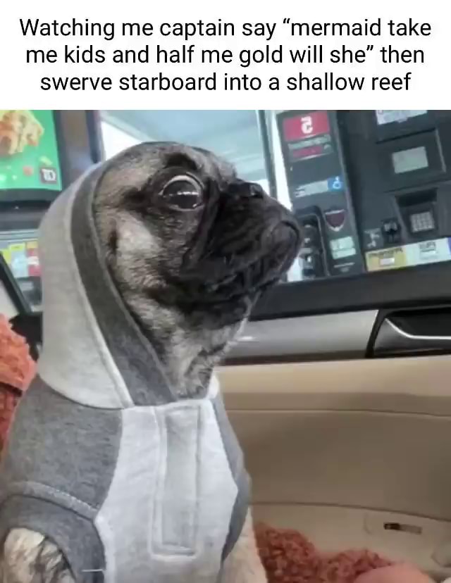 Watching me captain say "mermaid take me kids and half me gold will she ...