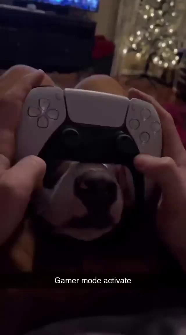 Gamer mode activate - iFunny