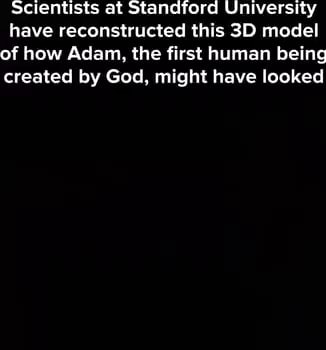 Scientists at Standford University have reconstructed this model of how ...