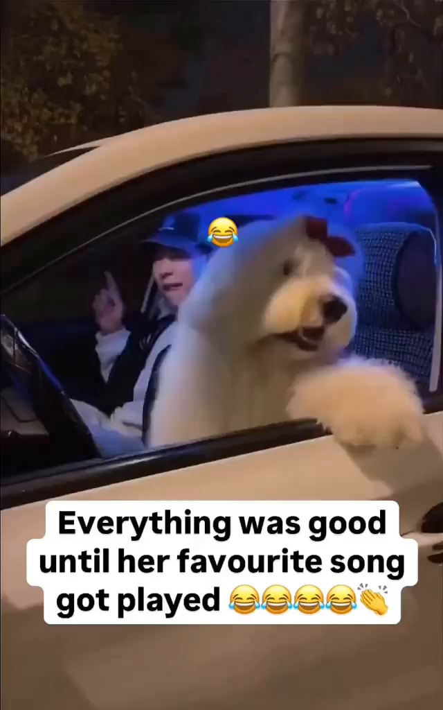 Everything was good until her favourite song got played - iFunny