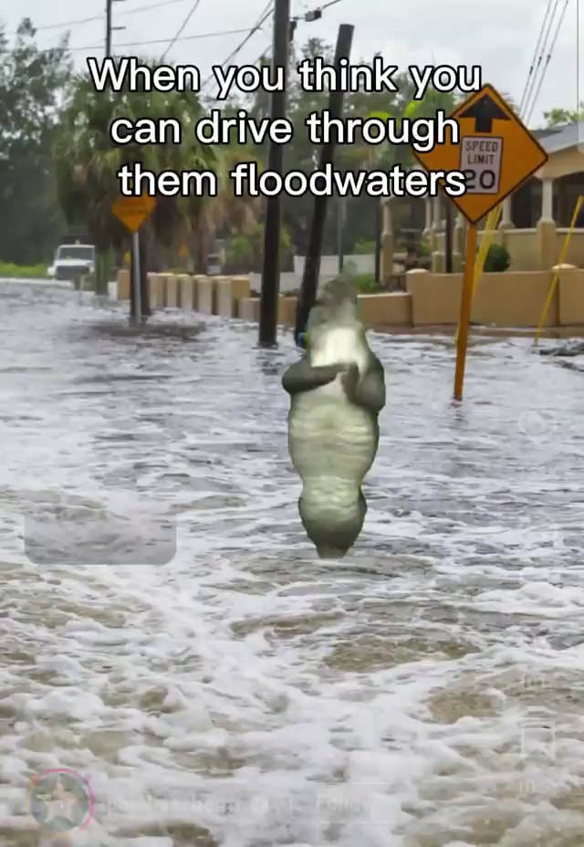 When you think you can drive through them floodwaters - iFunny