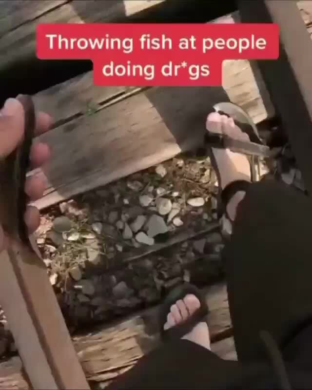Throwing fish at people doing - iFunny