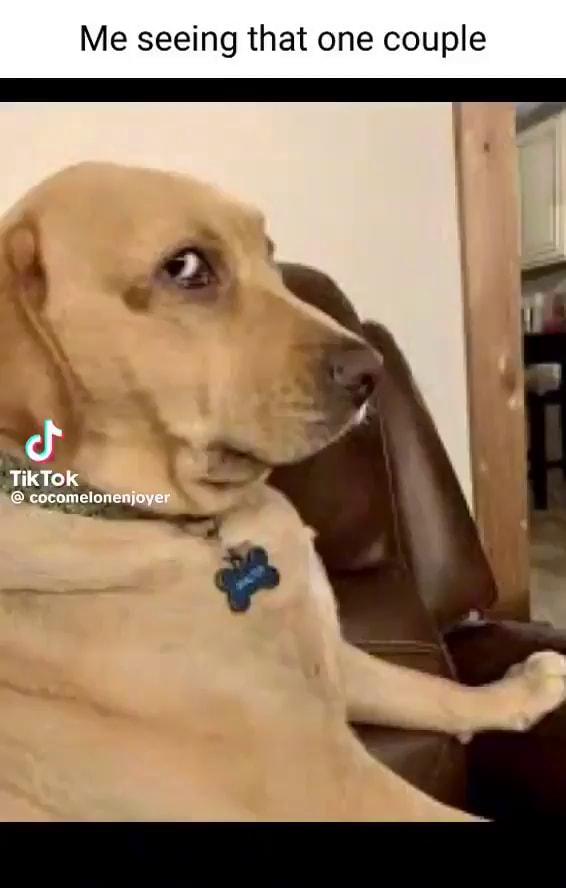 Me seeing that one couple cf TikTok cocomelonenjoyer I wa - iFunny