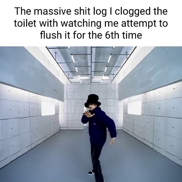 The massive shit log I clogged the toilet with watching me attempt to ...