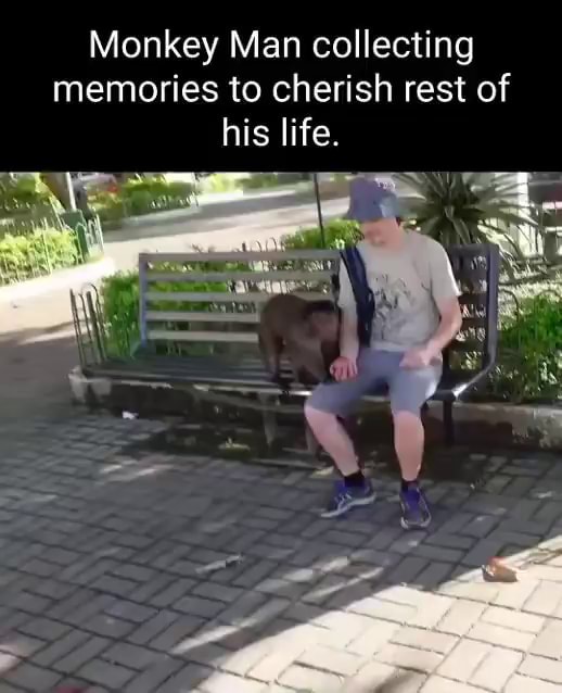 Monkey Man collecting memories to cherish rest of his life. wee - iFunny