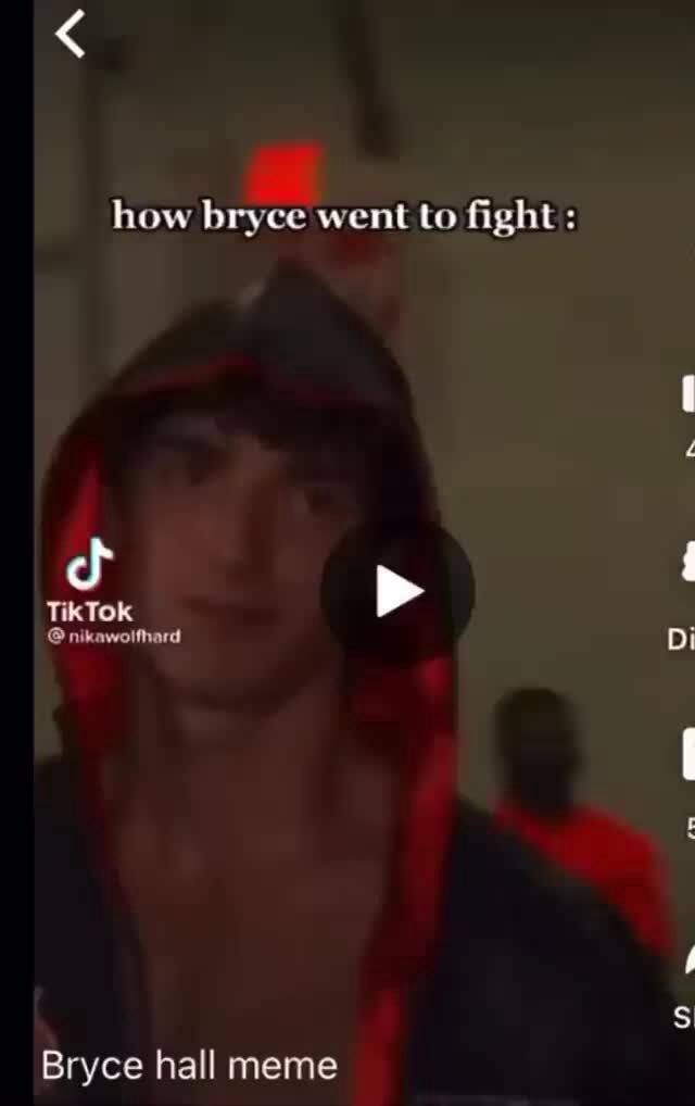 How bryce went to fight nikawolfhard Bryce hall meme - iFunny