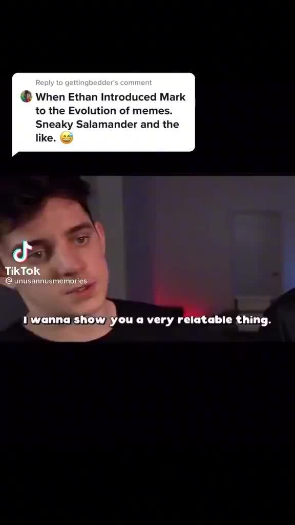 When Ethan Introduced Mark to the Evolution of memes. Sneaky Salamander ...