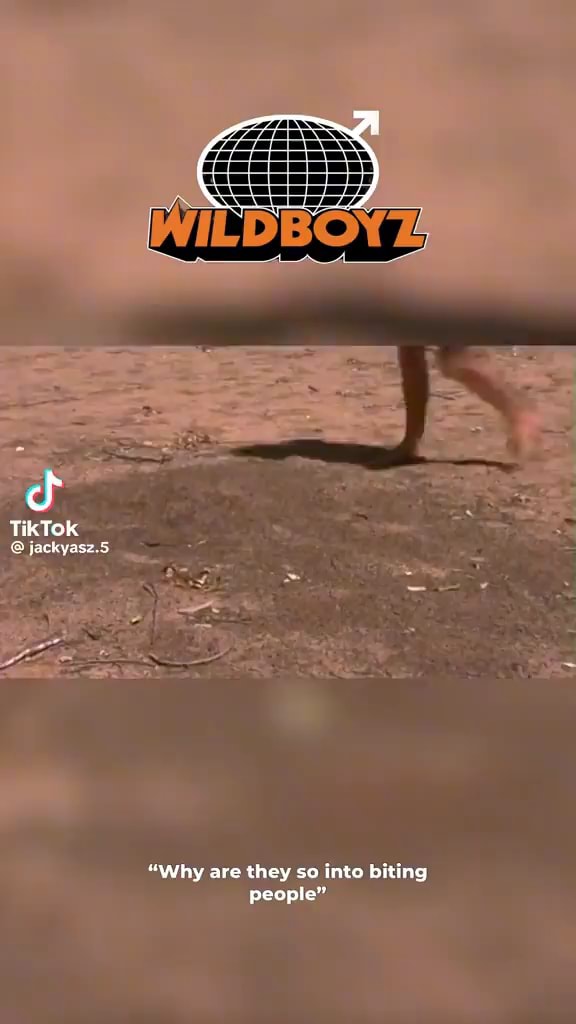 WILDBOY "Why are they so into biting People" - iFunny