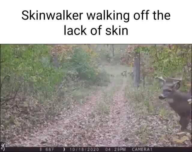 Skinwalker walking off the lack of skin - iFunny