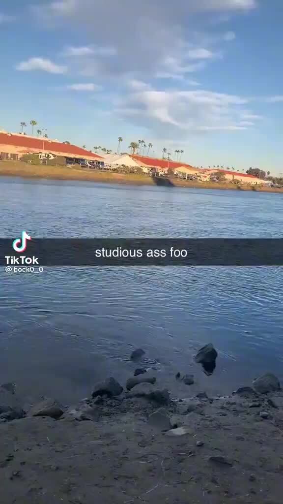 Studious ass foo Tik Tok - iFunny