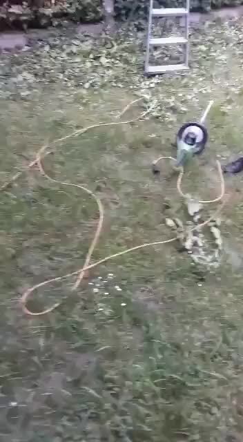 There goes the cable wire. Backstory - Brother was doing the hedges and ...