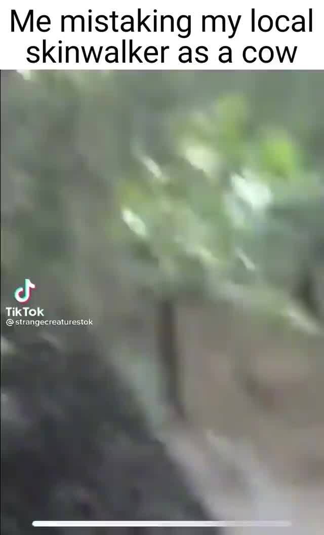 Me mistaking my local skinwalker as a cow TikTok - iFunny