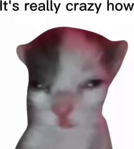 T's really crazy ho - iFunny