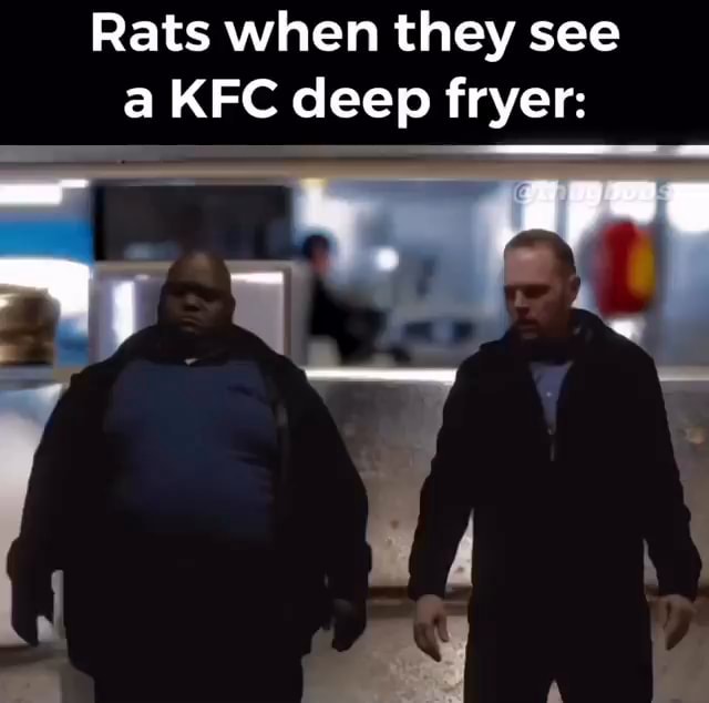 Rats when they see a KFC deep fryer fryer: - iFunny