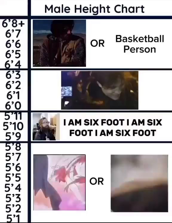 Male Height Chart OR Basketball Person Dy ay Oy OY . IAM SIX FOOT AM ...