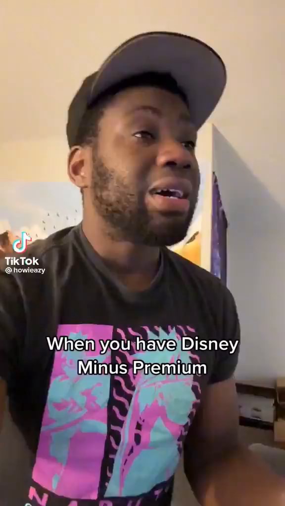 TikToK When you have Disney Minus Premium - iFunny