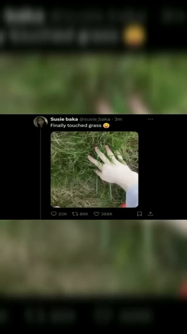 Susie baka susie bake Finally touched grass @ O esx 388K - iFunny