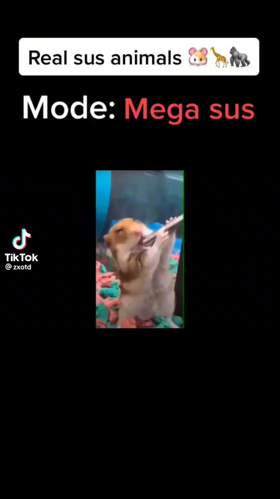 Real sus animals Mode: Mega sus Dado TikTok - iFunny