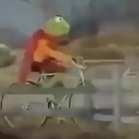 Name: Kermit the frog Cause of death: Spinal Fracture at neck - iFunny