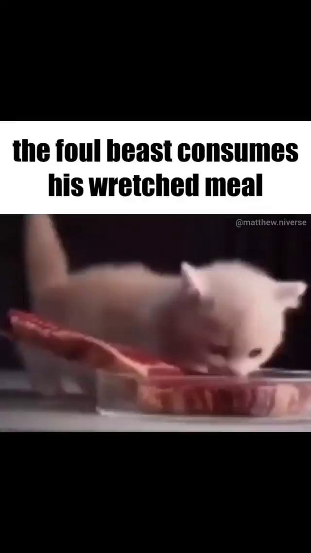 The foul beast consumes his wretched meal - iFunny