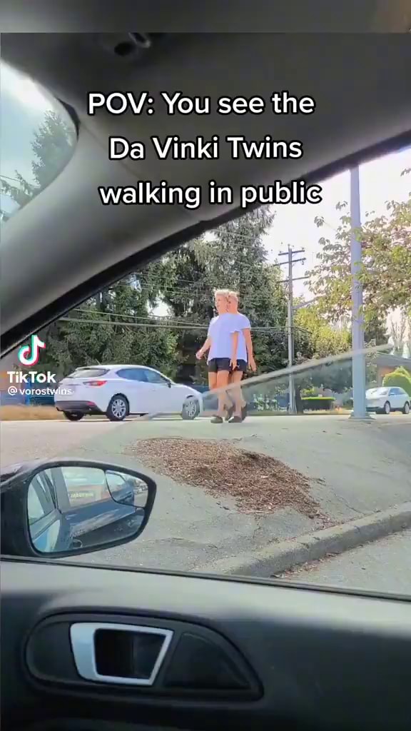 POV: You see the Da Vinki Twins walking in public TikTok - iFunny