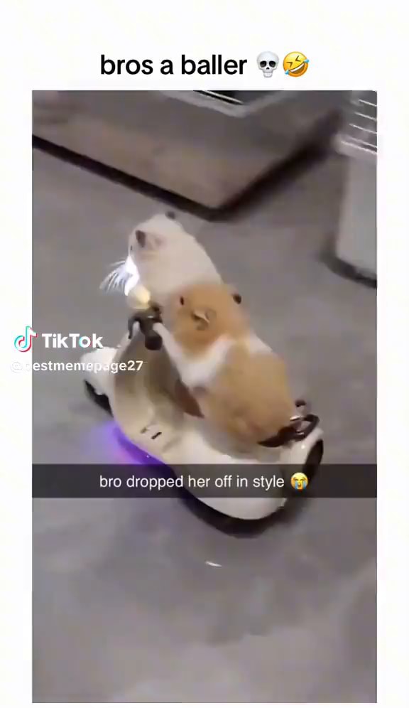 Bros baller bro dropped her off in style - iFunny