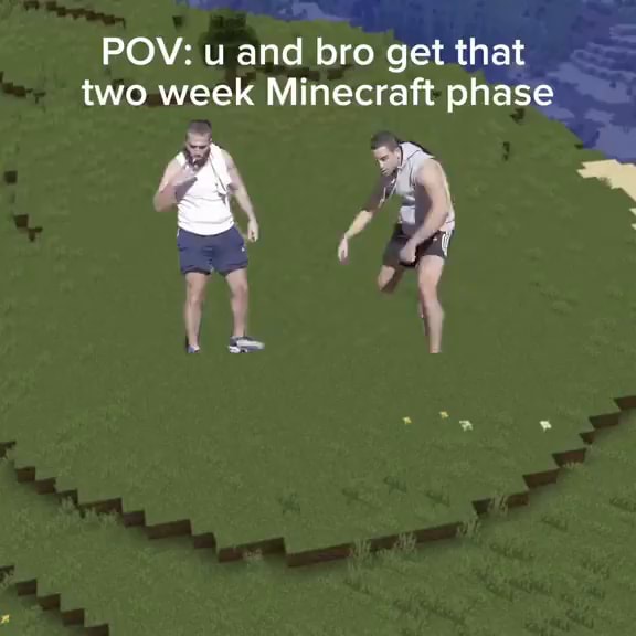 POV: u and bro get that two week Minecraft phase - iFunny