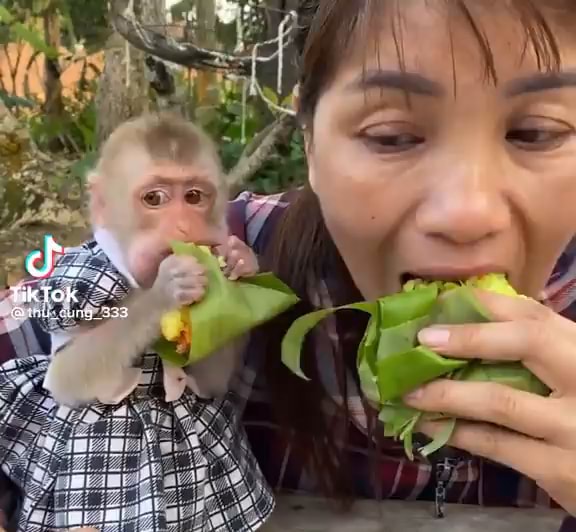 Video memes FcXIarXKA by damaged_goods: 9 comments - iFunny