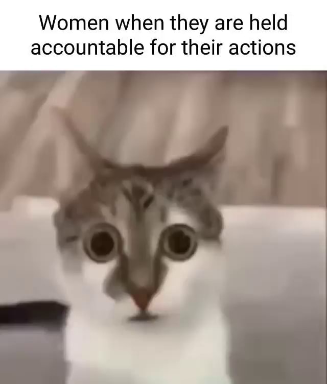 Women when they are held accountable for their actions - iFunny