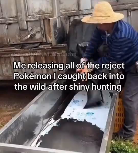 Me releasing all of the reject Pokemon I caught back into the wild ...