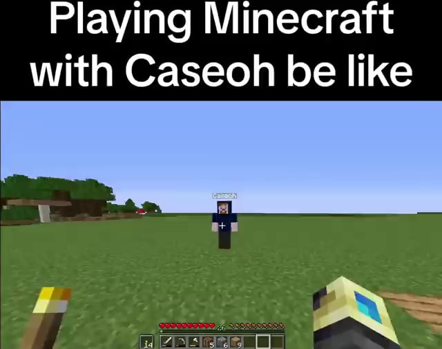 Playing Minecraft with Caseoh be like - iFunny