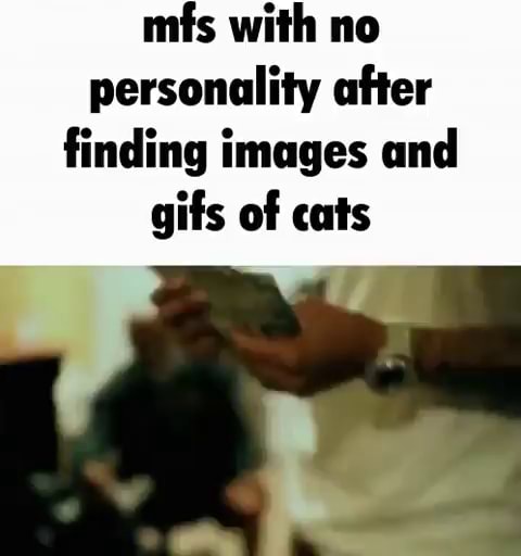 Mifs with no personality after finding images and gifs of cats - iFunny