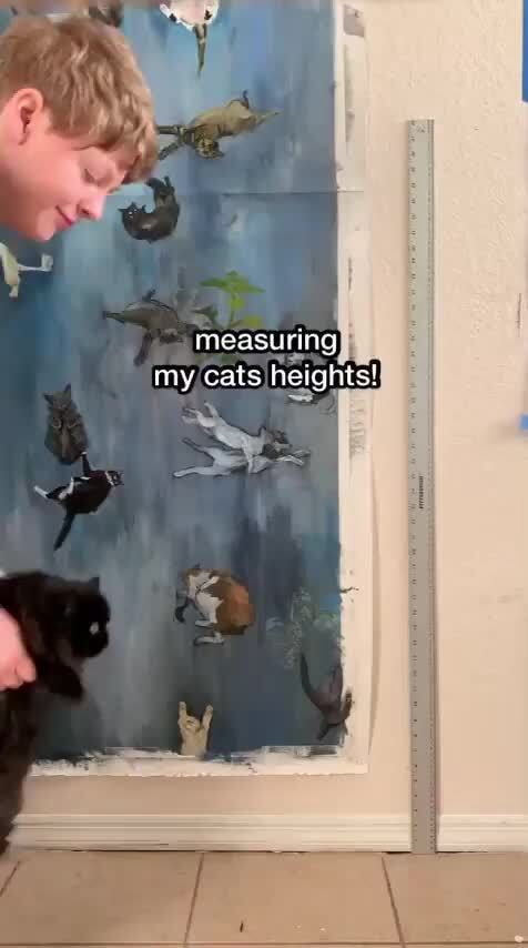 Measuring} my cats heights! - iFunny