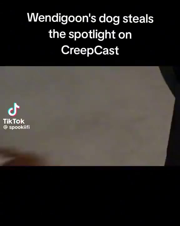 Wendigoon's dog steals the spotlight on CreepCast TikTok spookiiti - iFunny