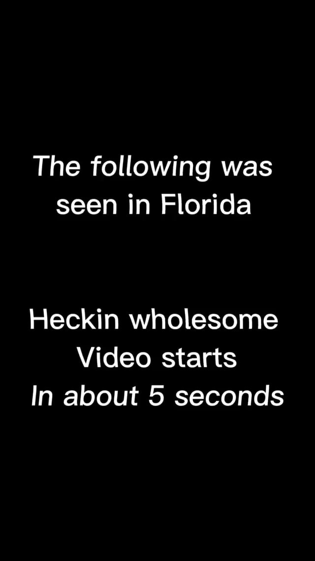 The following was seen in Florida Heckin wholesome Video starts In ...