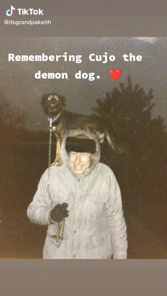 TikTok @itsgrandpakeith Remembering Cujo the demon dog. - iFunny