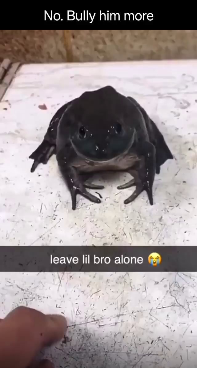 No. Bully him more leave lil bro alone - iFunny