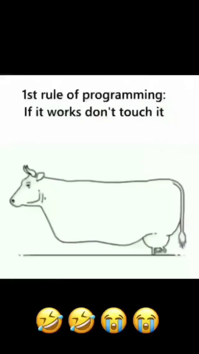 Rule Of Programming If It Works Dont Touch It Ifunny
