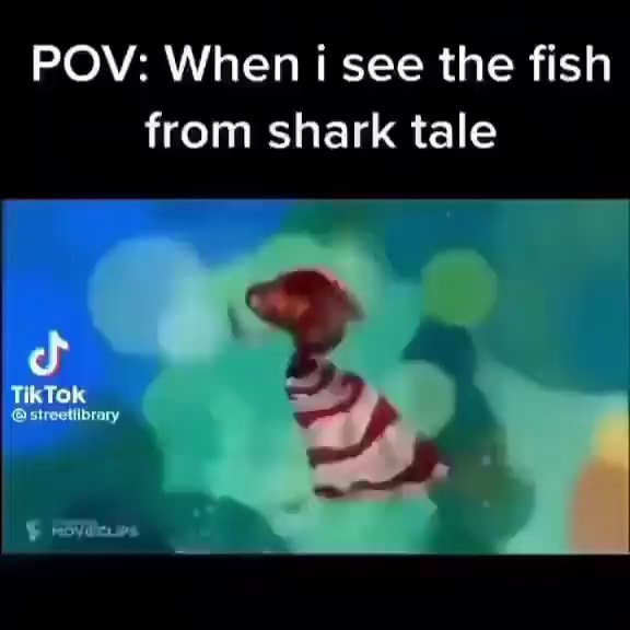 POY: When see the fish from shark tale TikTok @streetilbrary - iFunny