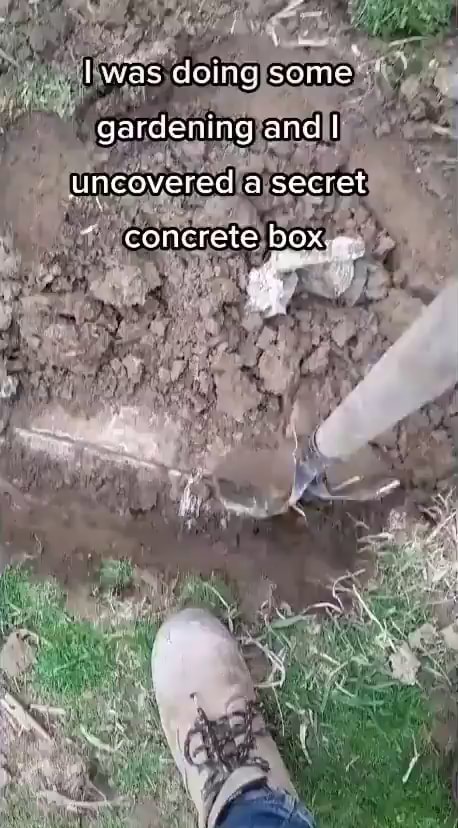 Lwas doing some gardening and uncovered a secret concrete box..- - iFunny
