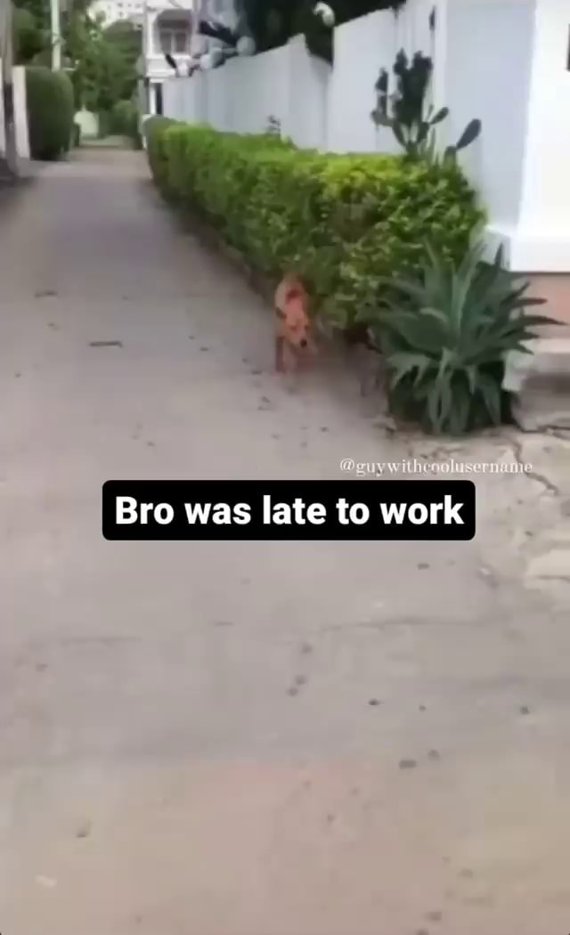 Bro was late to work - iFunny