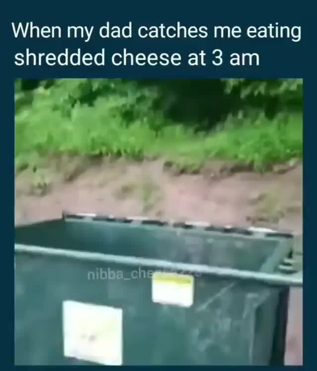 When my dad catches me eating shredded cheese at 3 am - iFunny